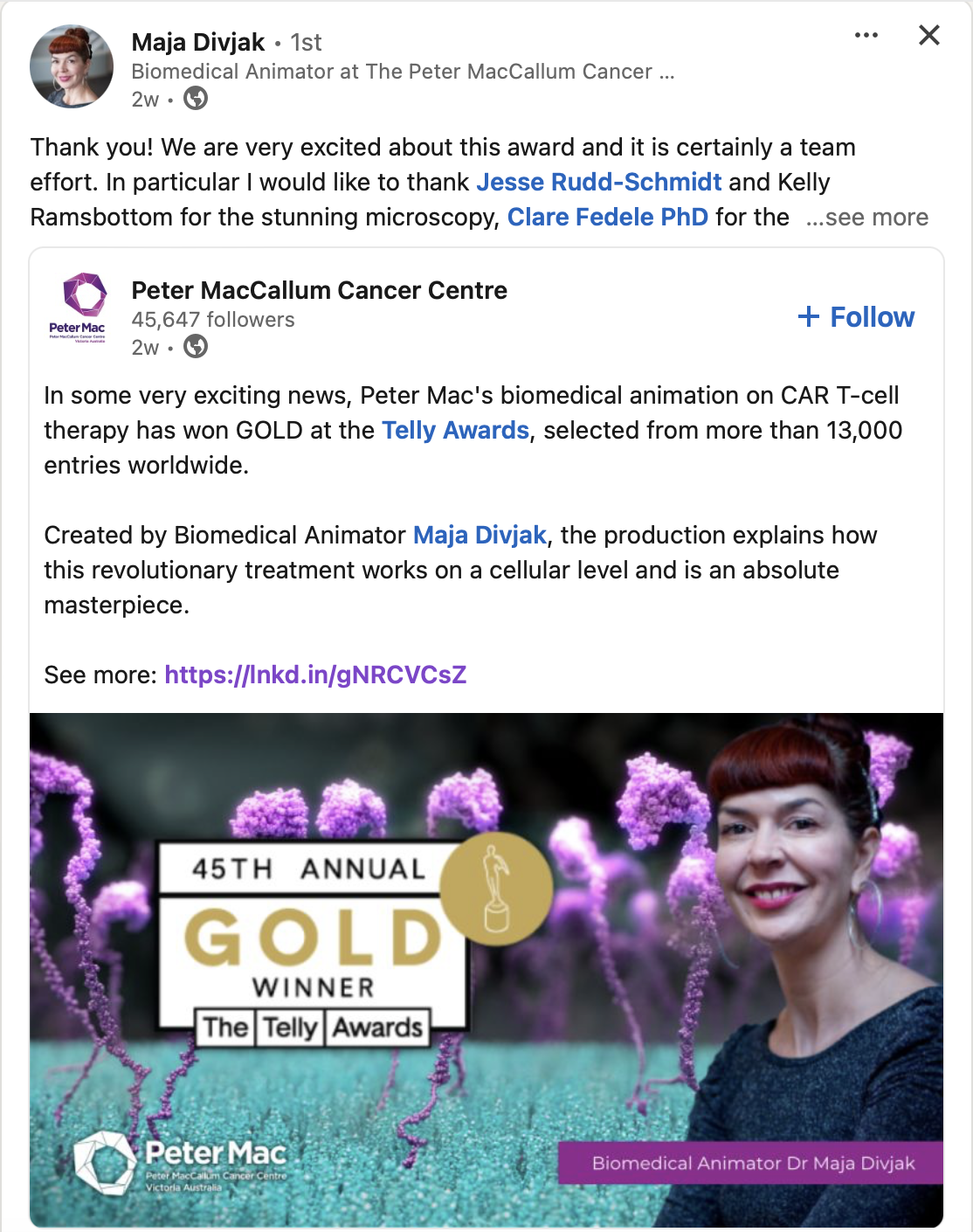 BCA Member Dr Maja Divjak wins gold at the Telly Awards